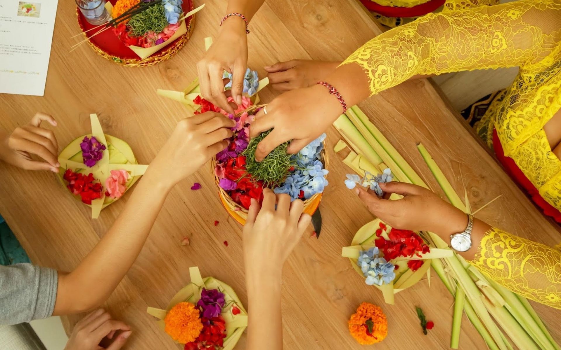 TBO Platinum Collection